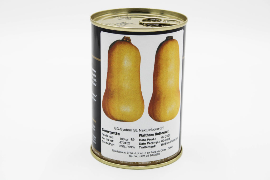 COURGETTE WALTHAM BUTTERNUT (NADIO) – SPIA